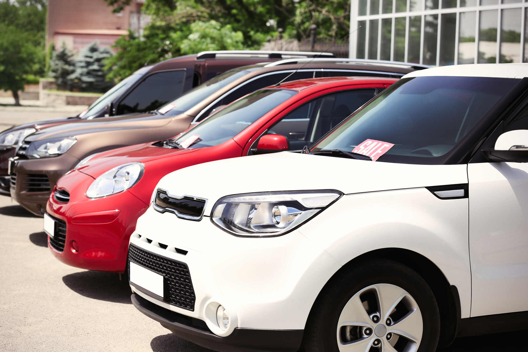 10 Popular Vehicle Body Types in the UAE: How to Choose the Right Car ...